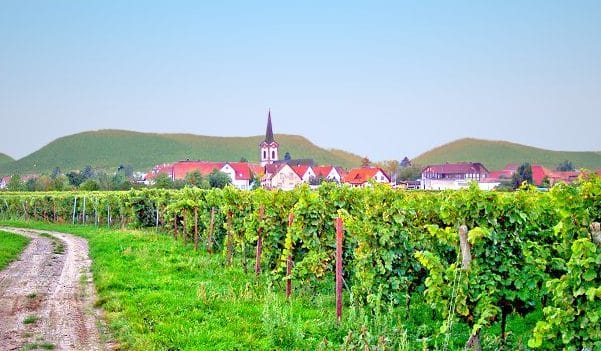 Edesheim in der Pfalz | www.pfalz-info.com