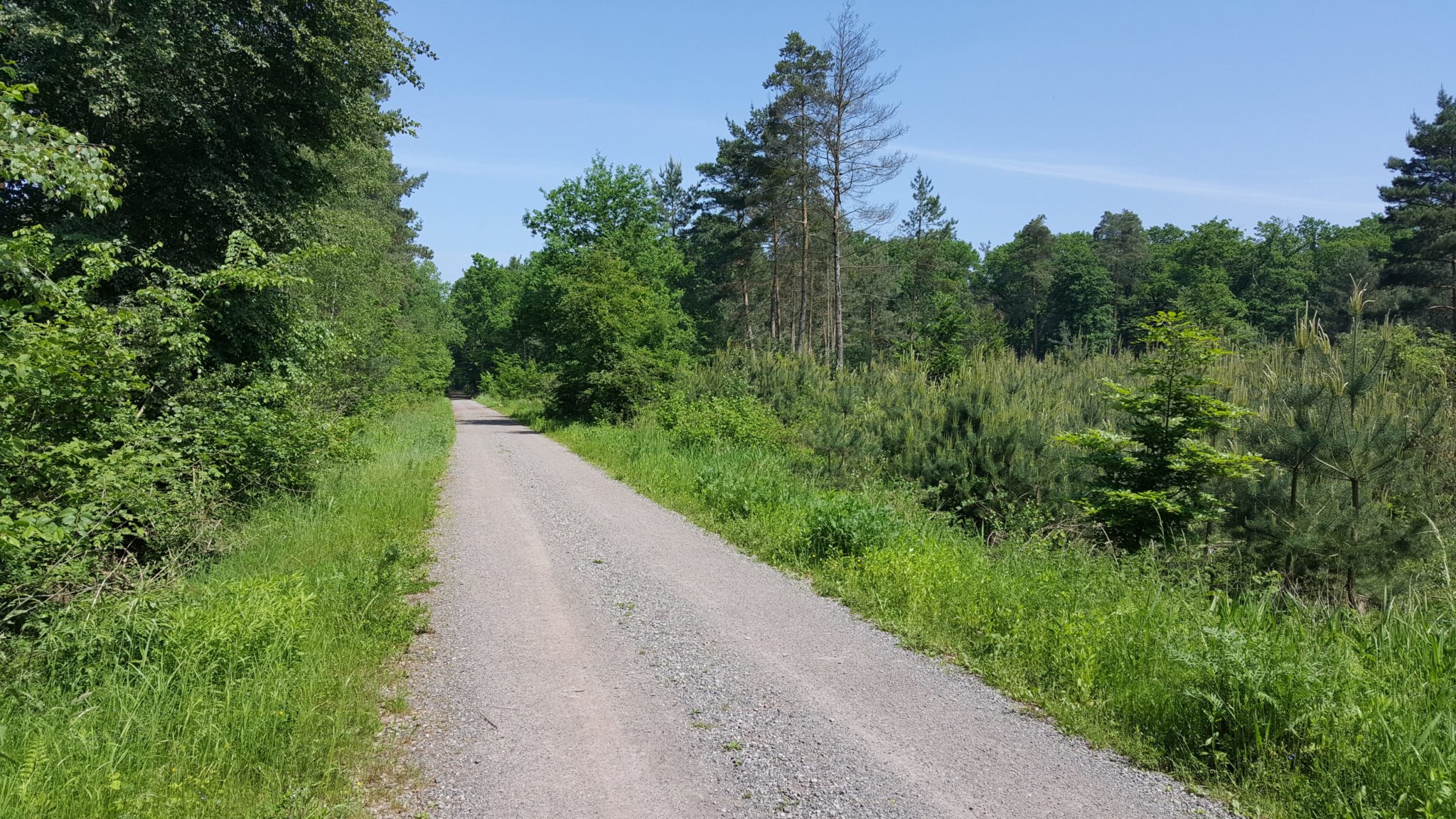 Bellheim in der Pfalz | www.pfalz-info.com