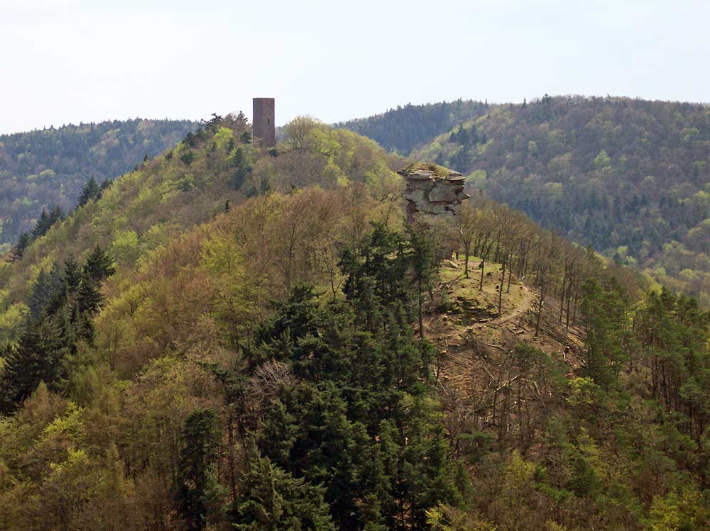 Burg Scharfenberg | www.pfalz-info.com