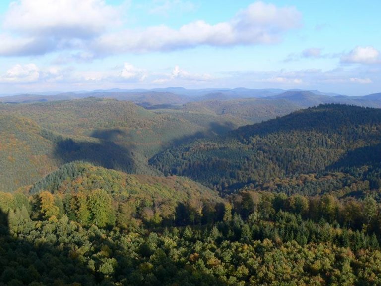 (Große) Kalmit mit Kalmithaus | www.pfalz-info.com