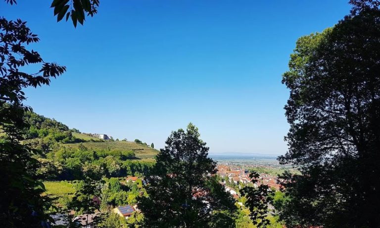 (Große) Kalmit mit Kalmithaus | www.pfalz-info.com