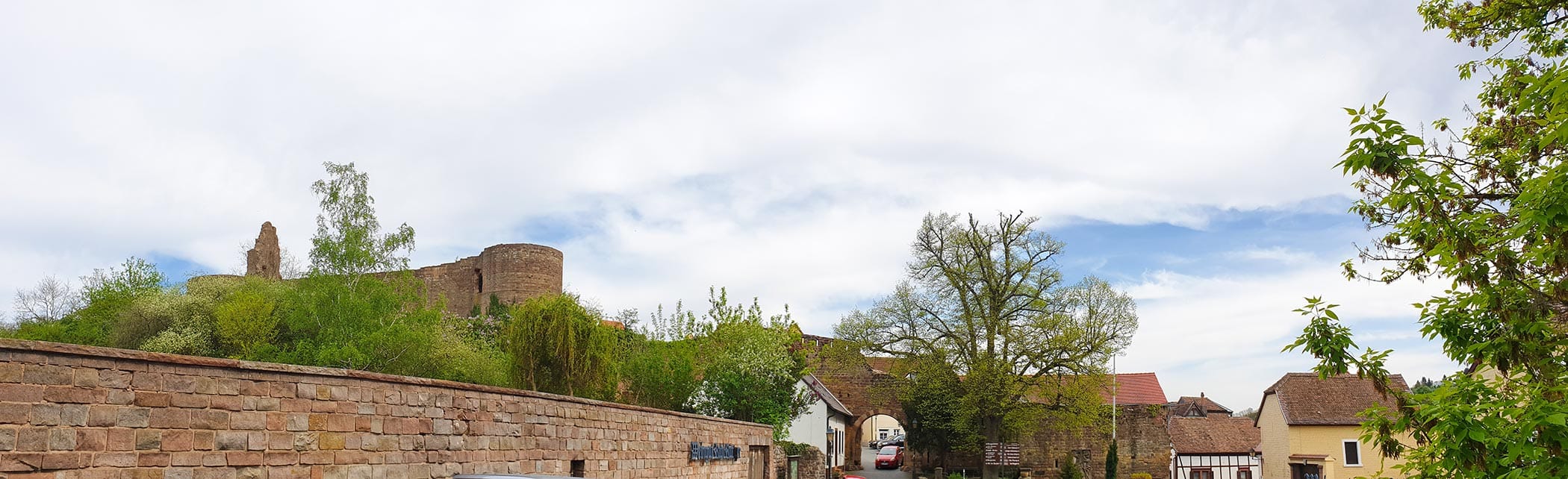 „Burg Neuleiningen“ | www.pfalz-info.com