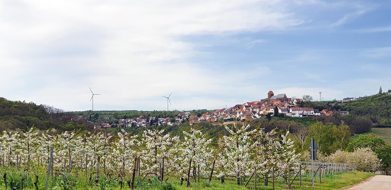 Gastronomie, Essen + Trinken in Neuleiningen | www.pfalz-info.com