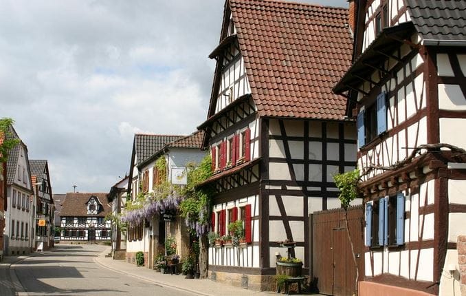 Winden in der Pfalz | www.pfalz-info.com