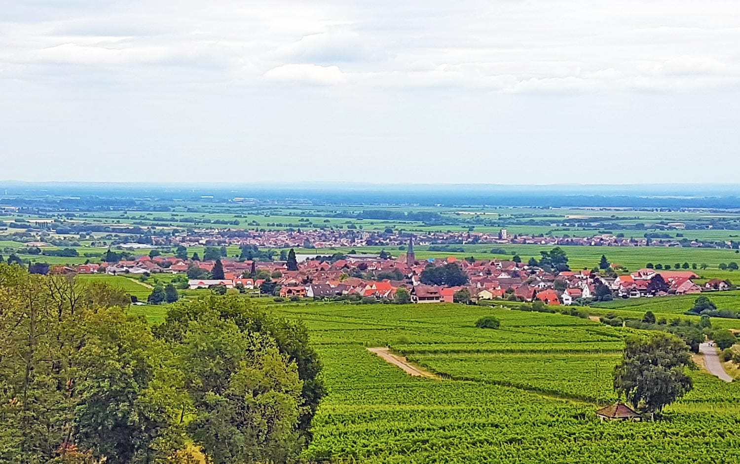 Rhodt unter Rietburg in der Pfalz | www.pfalz-info.com