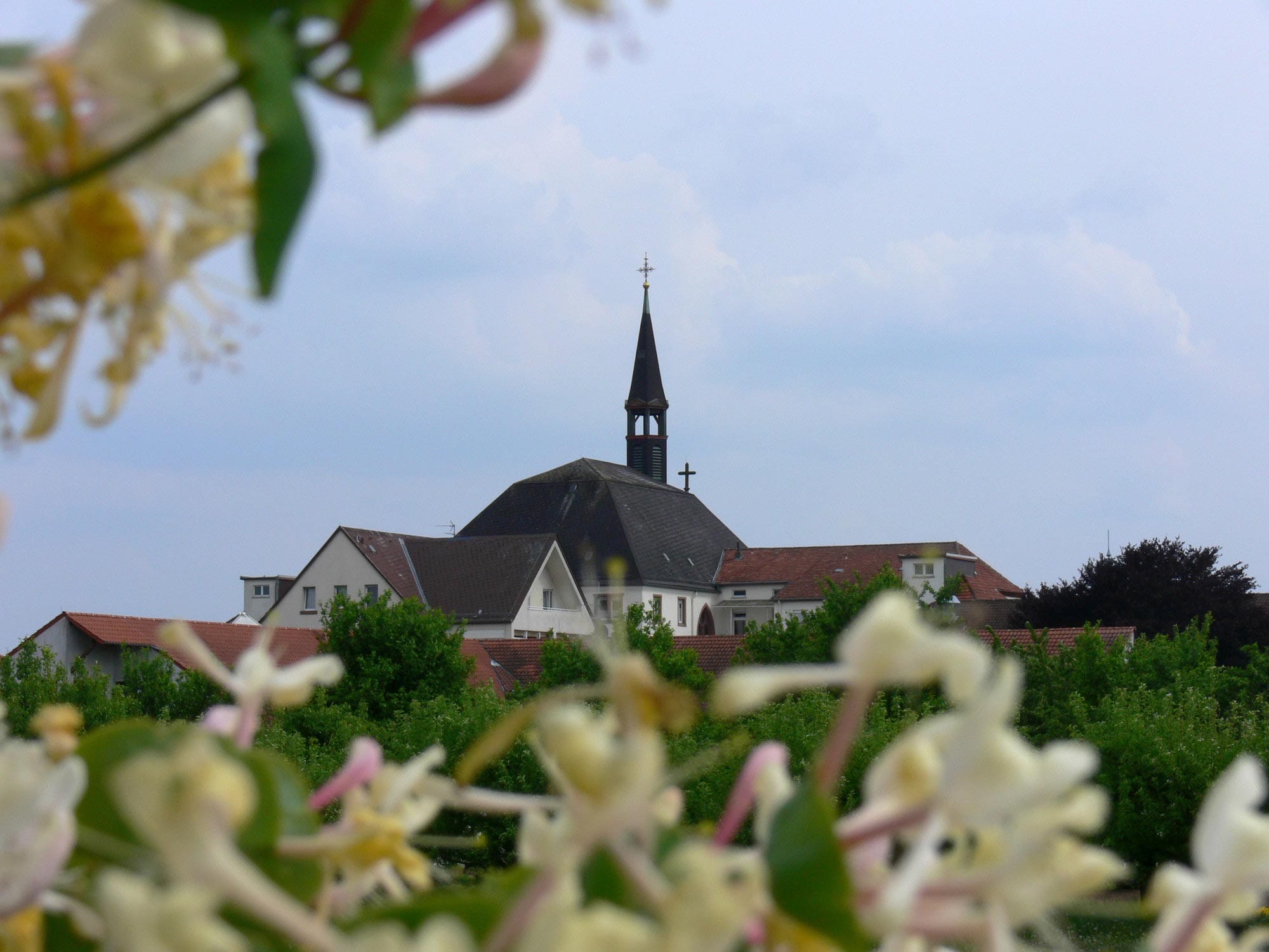 Waldbiergarten Zum Michel | www.pfalz-info.com