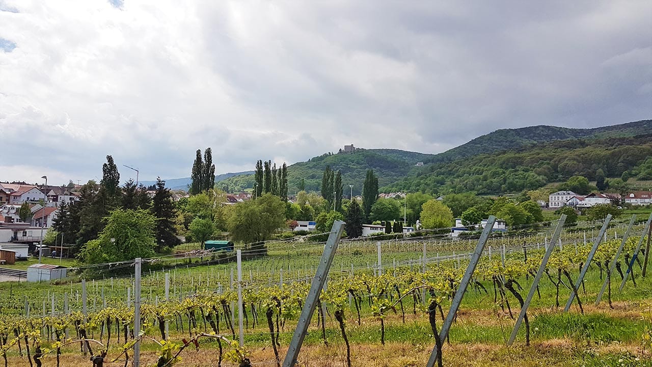 Hambach in der Pfalz | www.pfalz-info.com