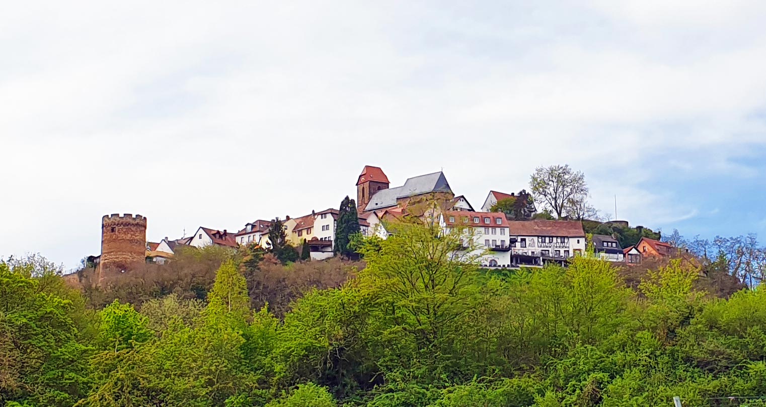 Das Leiningerland - Burgen, Wein und Wald | www.pfalz-info.com
