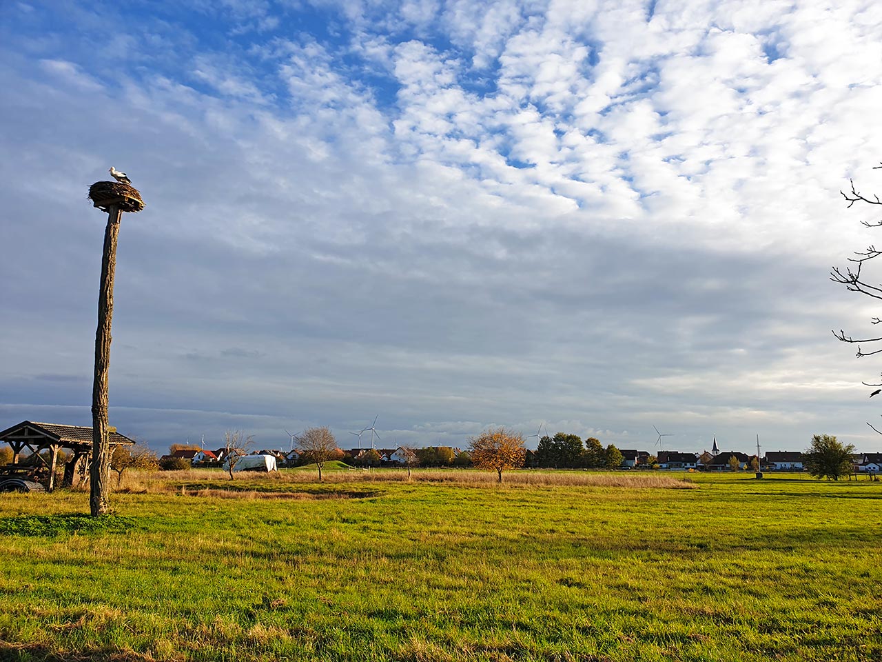 Offenbach an der Queich in der Pfalz | www.pfalz-info.com