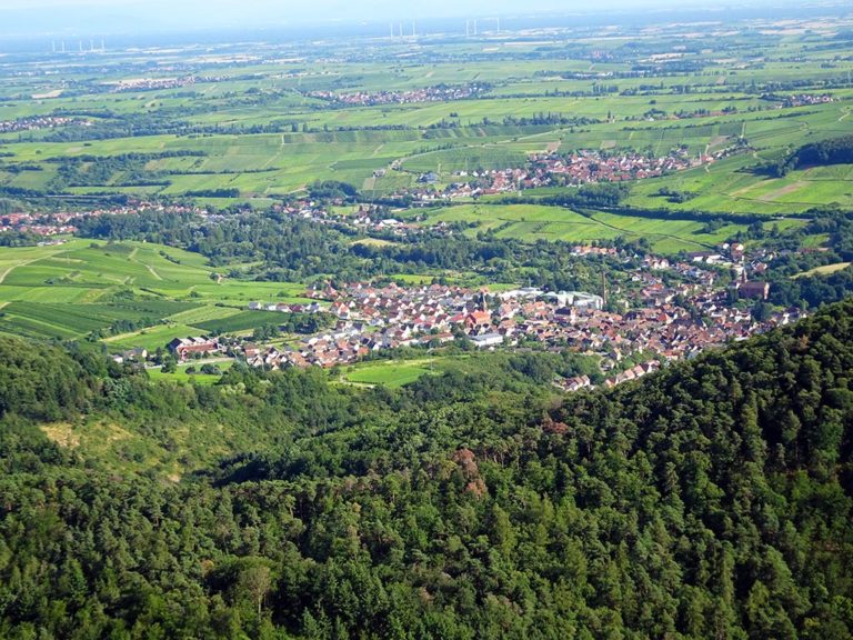 Das Weindorf Albersweiler in der Pfalz | www.pfalz-info.com