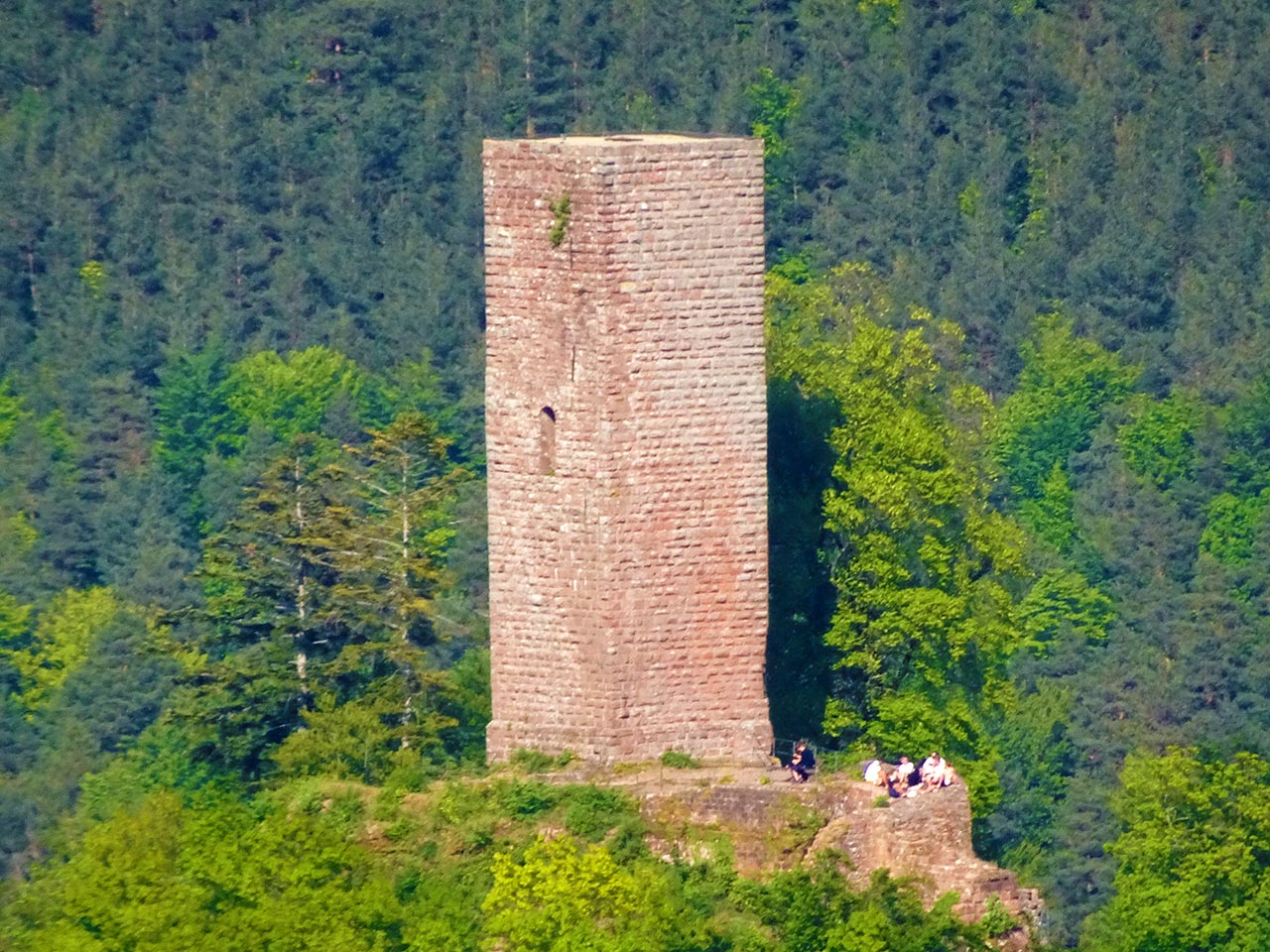 Burg Scharfenberg | www.pfalz-info.com