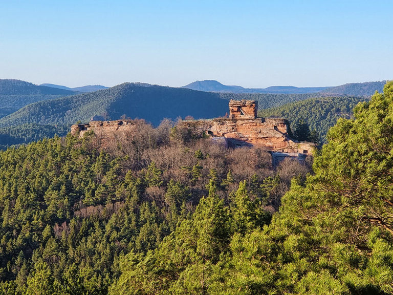 Burg Drachenfels bei Busenberg | www.pfalz-info.com