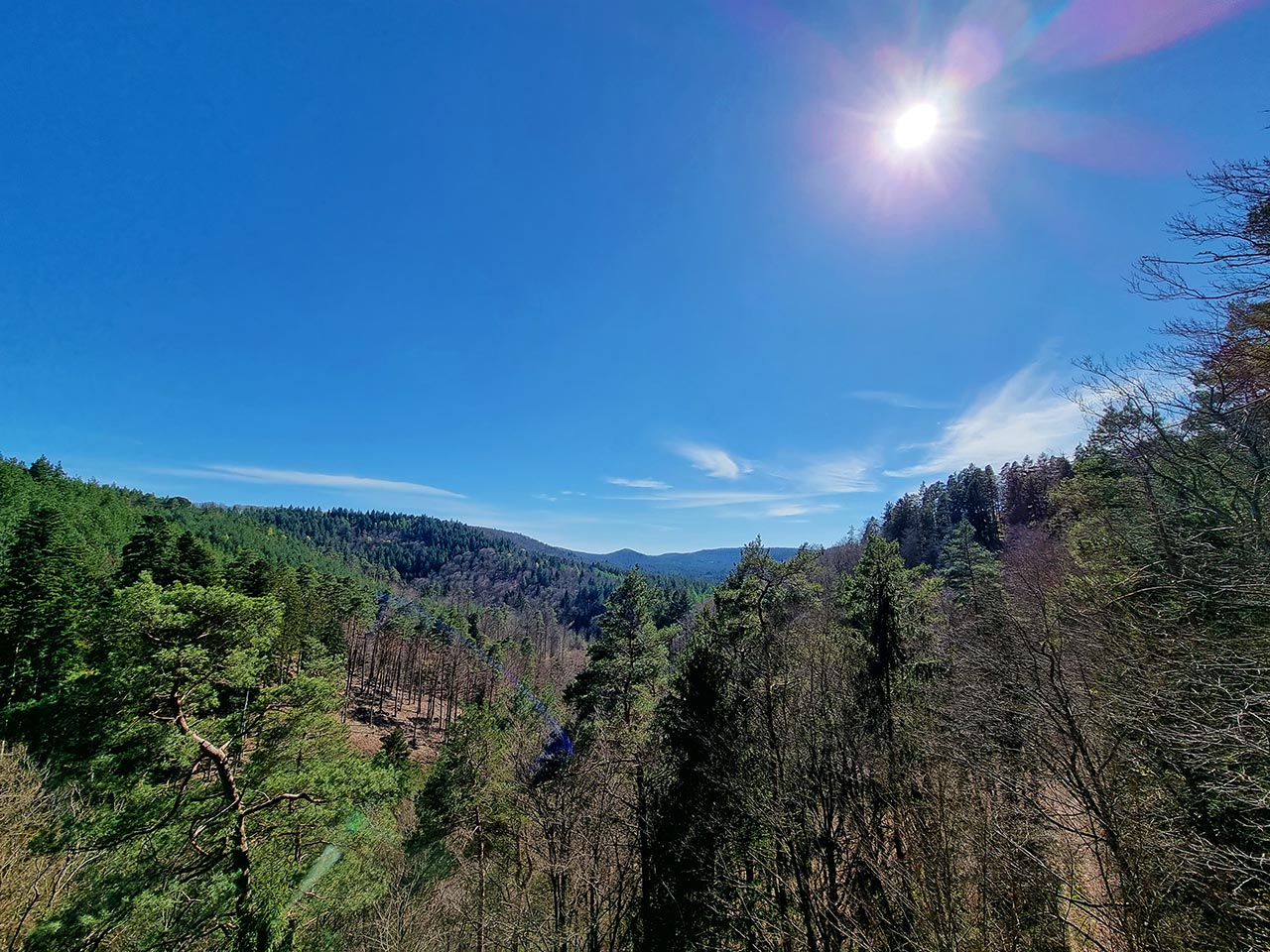 Eppenbrunn in der Pfalz | www.pfalz-info.com