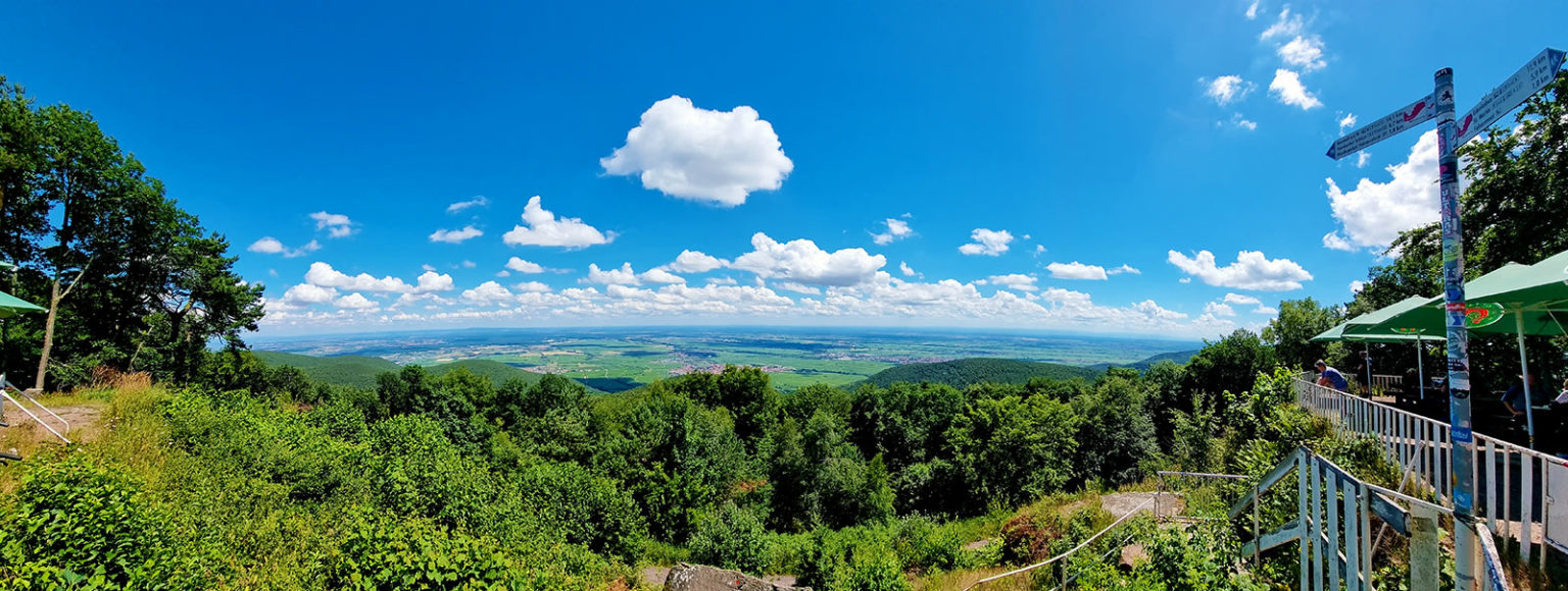 (Große) Kalmit mit Kalmithaus | www.pfalz-info.com