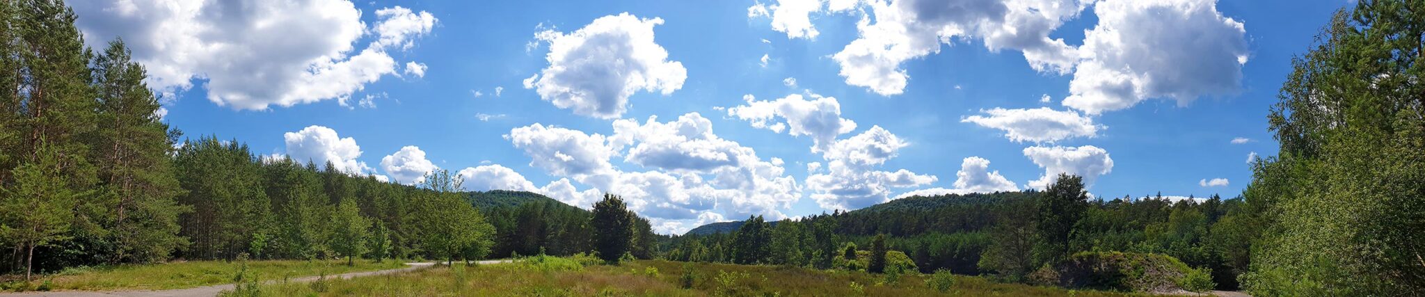 Rumberg-Steig | www.pfalz-info.com