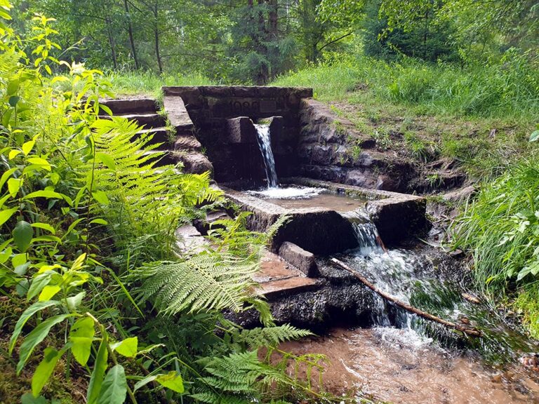 Rumberg-Steig | www.pfalz-info.com