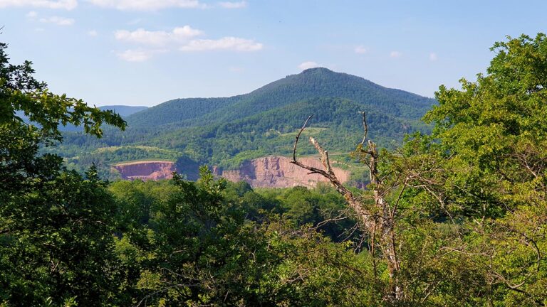 Das Weindorf Albersweiler in der Pfalz | www.pfalz-info.com